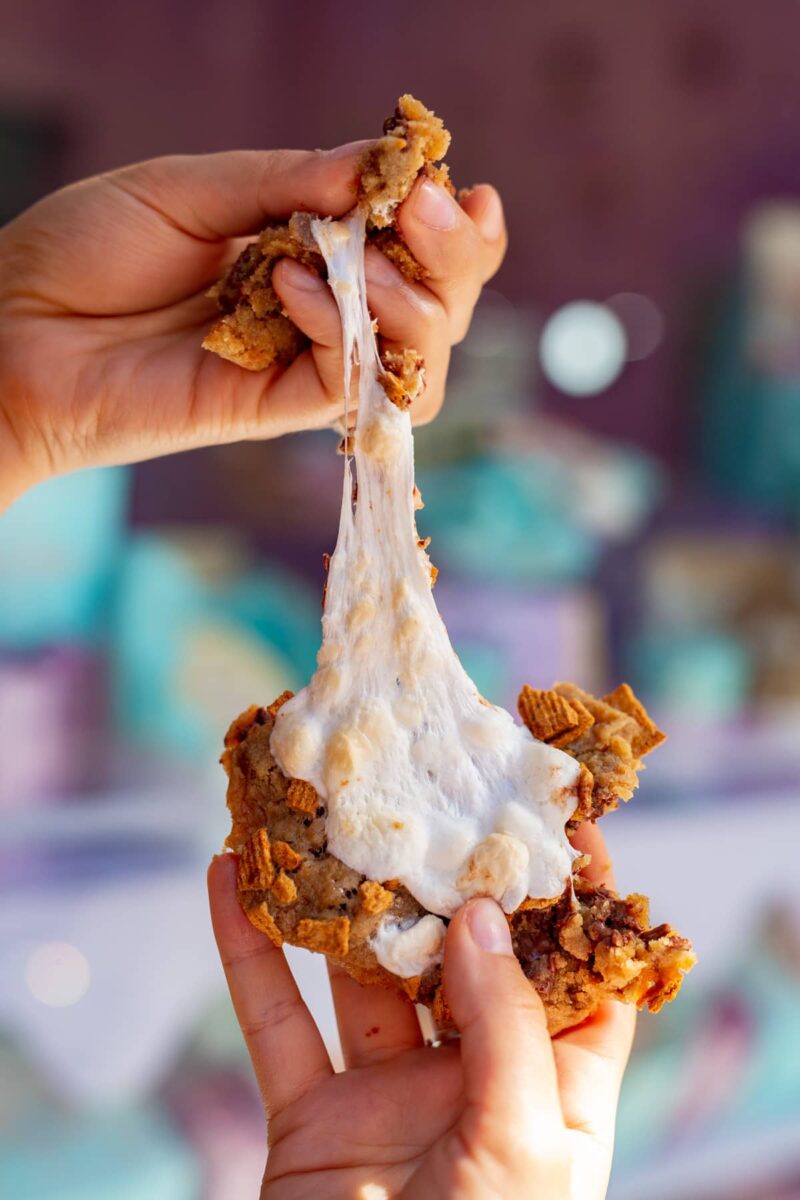 10 TANTALIZING New York City Cookies (Worth the Wait)