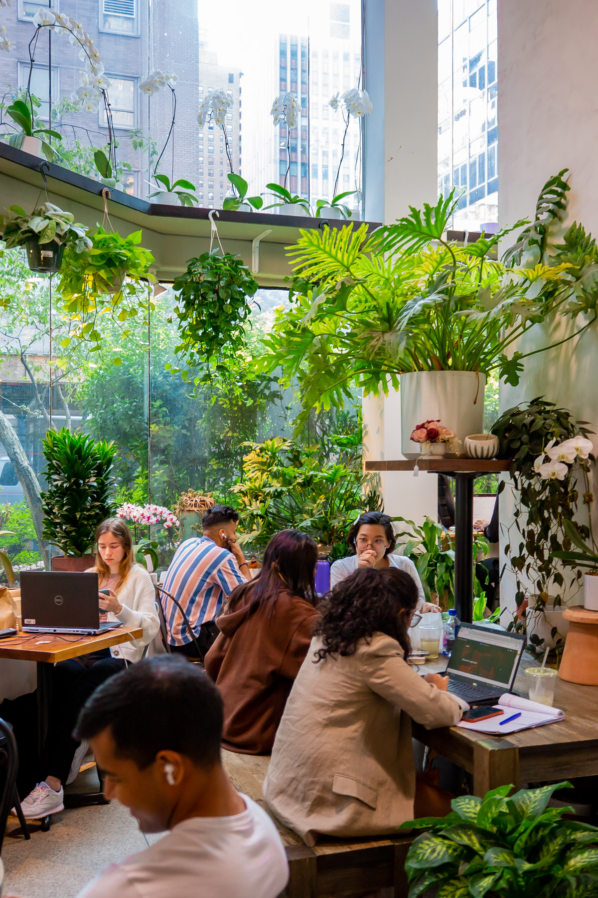 15 TOP-NOTCH Working Cafes in New York City (Local's Guide)