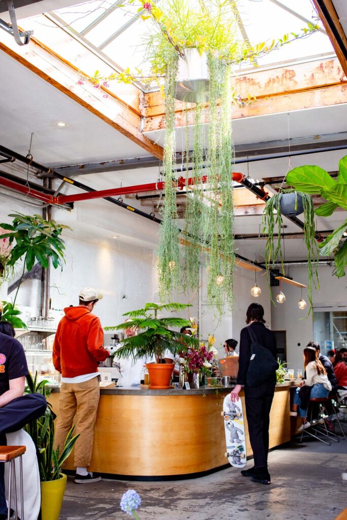 10+ Brooklyn Coffee Shops Locals Love (Brooklyn Guides)