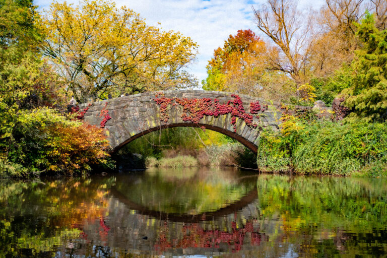 A Very Helpful Guide to Visiting Central Park (Things to Do)